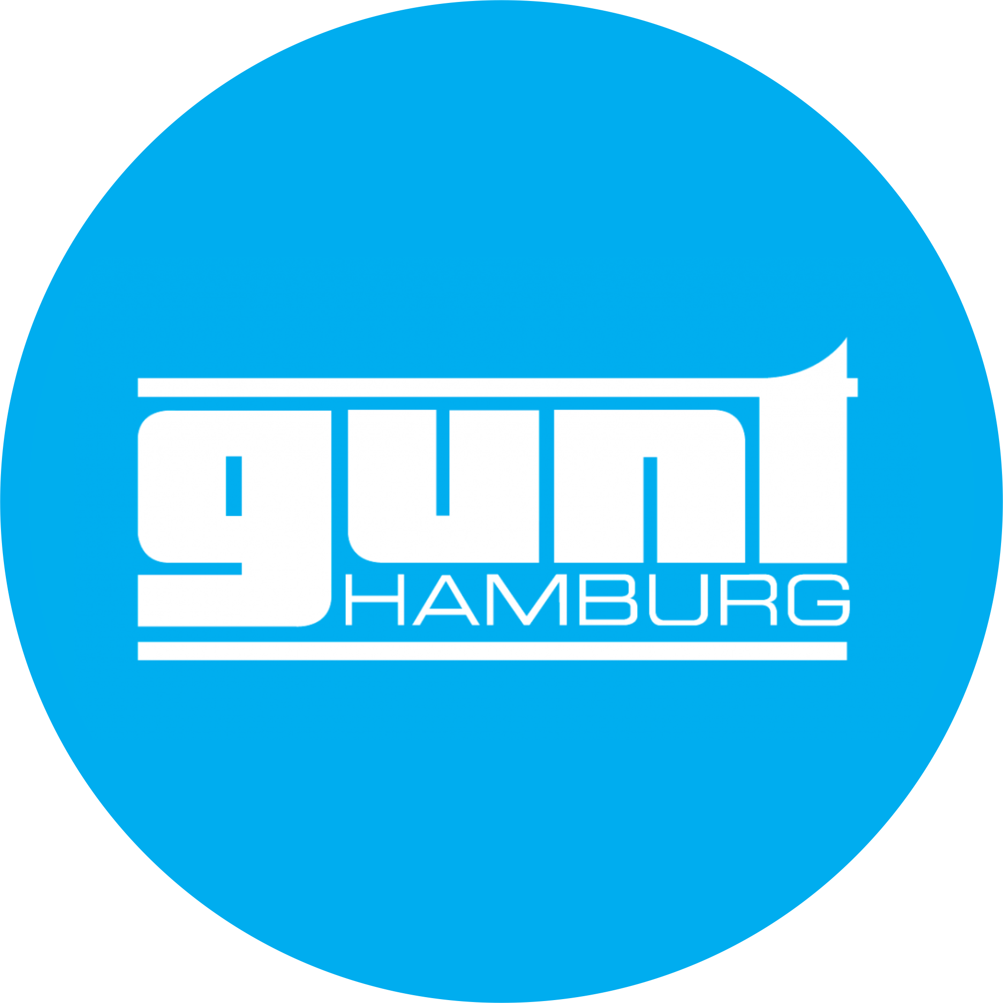 掌宇股份有限公司